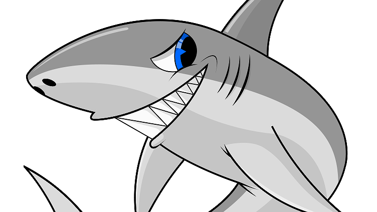 Requin A Marseille 2024