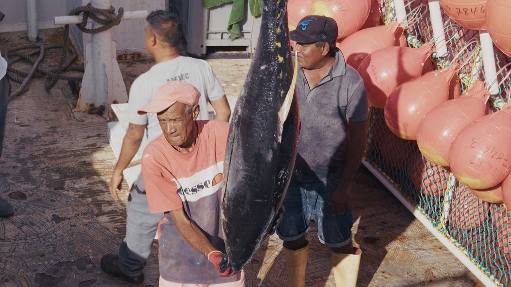 Pêcheurs vénézuéliens en Guyane : la SAF doit payer leur dû ! | Portail ...